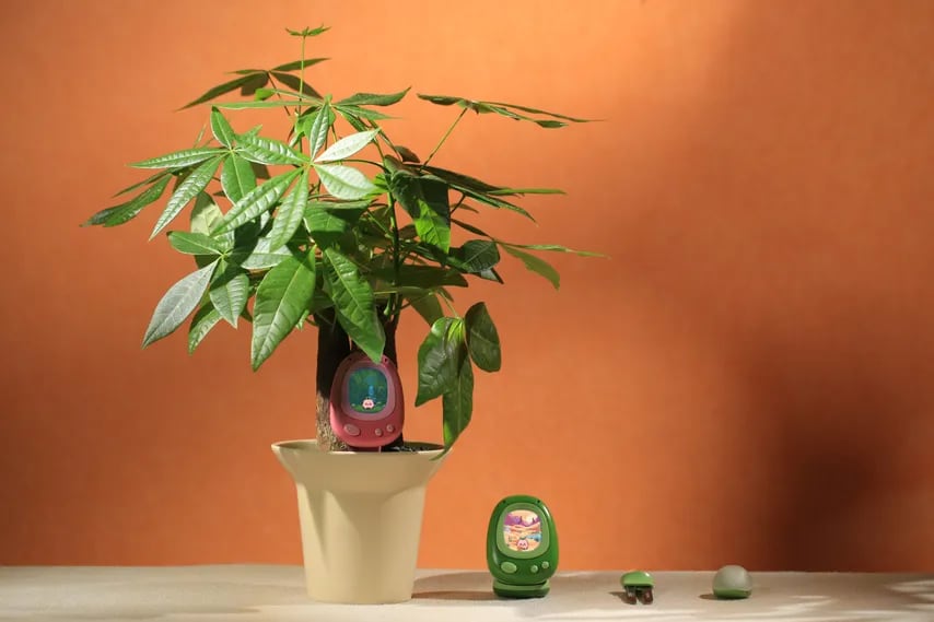 CES 2026: Senso Is a Smart Plant Sensor With an AI Tamagotchi - TheNote.app